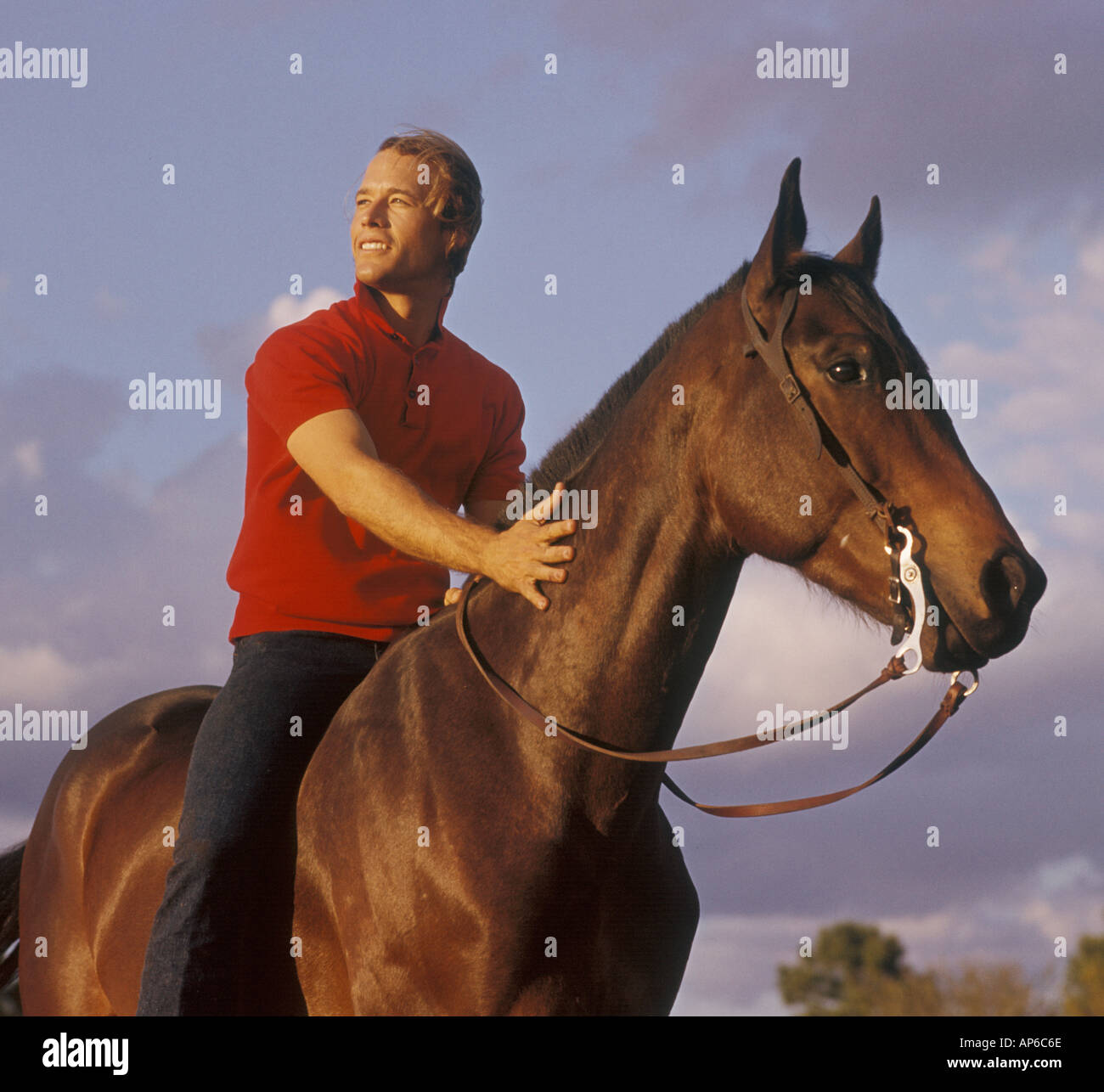 Horseback riding hi-res stock photography and images - Alamy