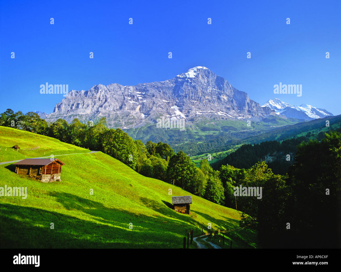 The Eiger view from Grindelwald Switzerland Stock Photo - Alamy