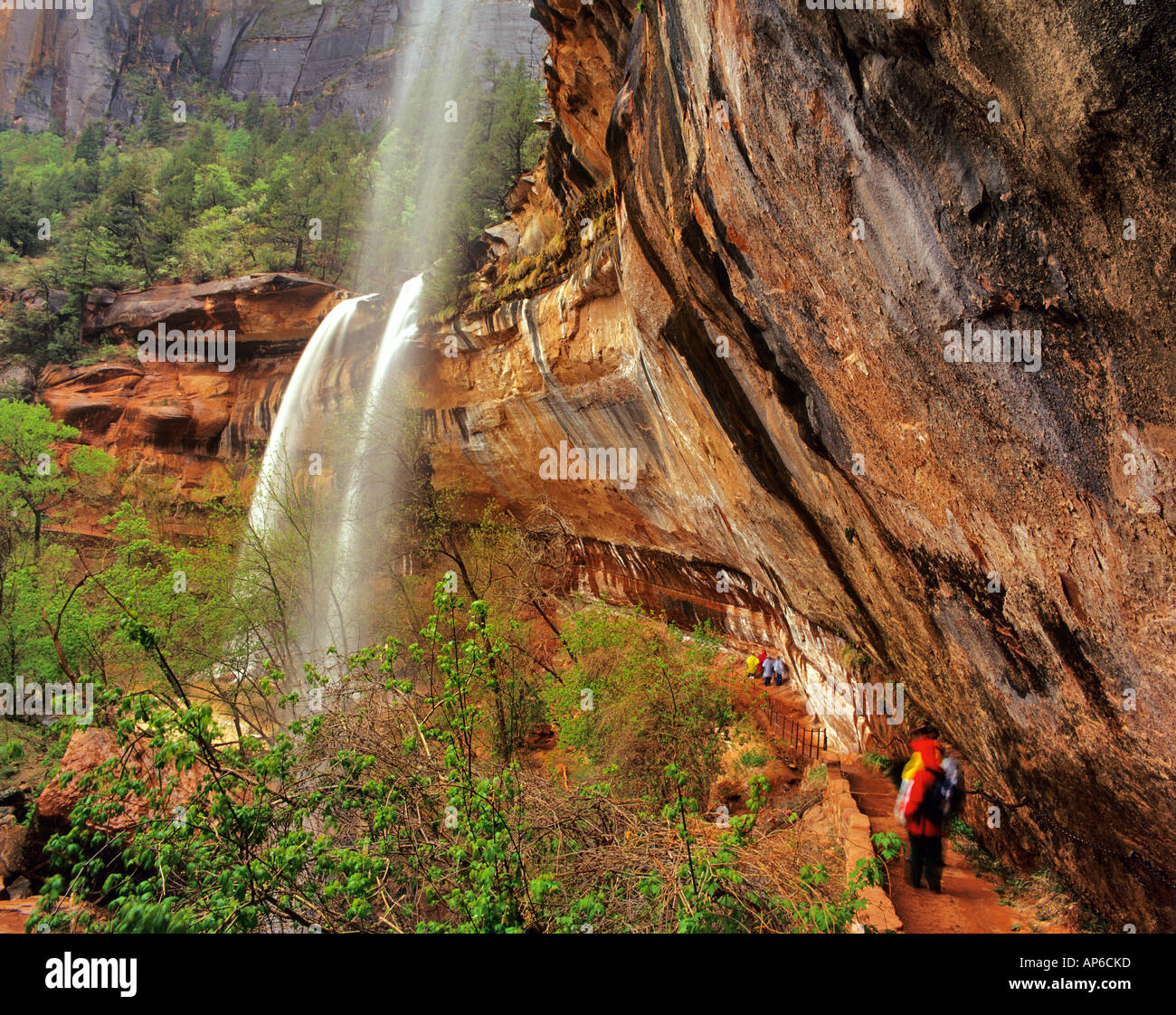 Hiking The Emerald Pools Trail in Zion National Park Utah Stock Photo - Alamy