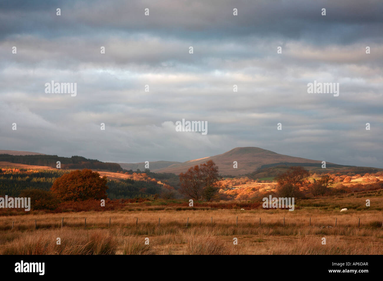 Fan Nedd Ystradfellte Wales UK Stock Photo - Alamy