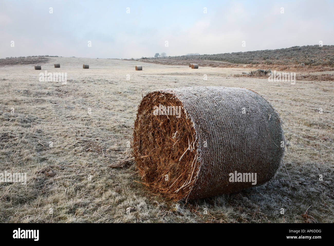 Bracken bales hi-res stock photography and images - Alamy