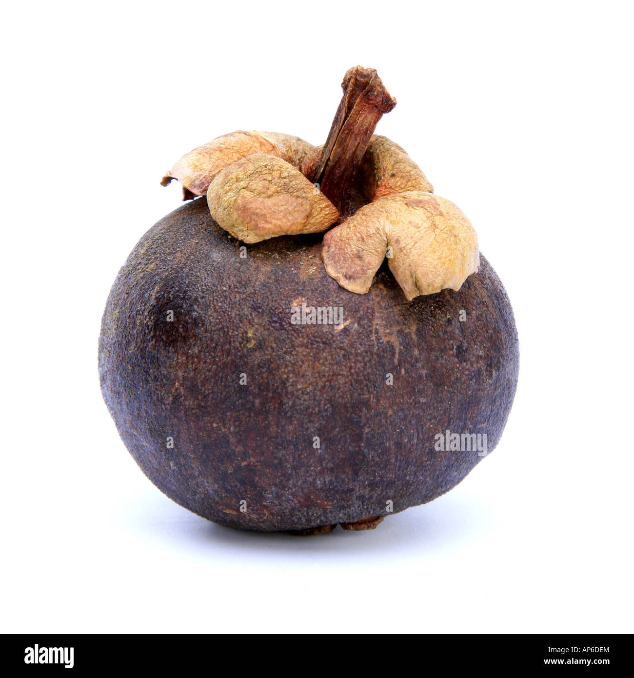 mangosteen fruit Garcinia mangostana exotic fruit Stock Photo - Alamy