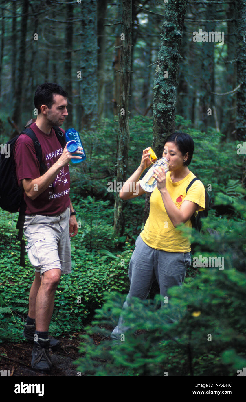 Long trail vermont hi-res stock photography and images - Alamy