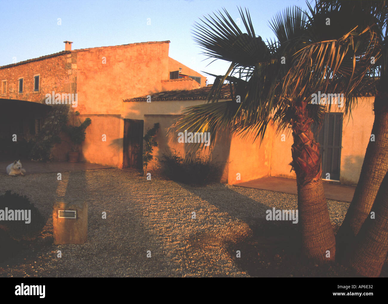 The Mallorcan Spain small rural hotel of S Hort des Gran Palmer Stock ...