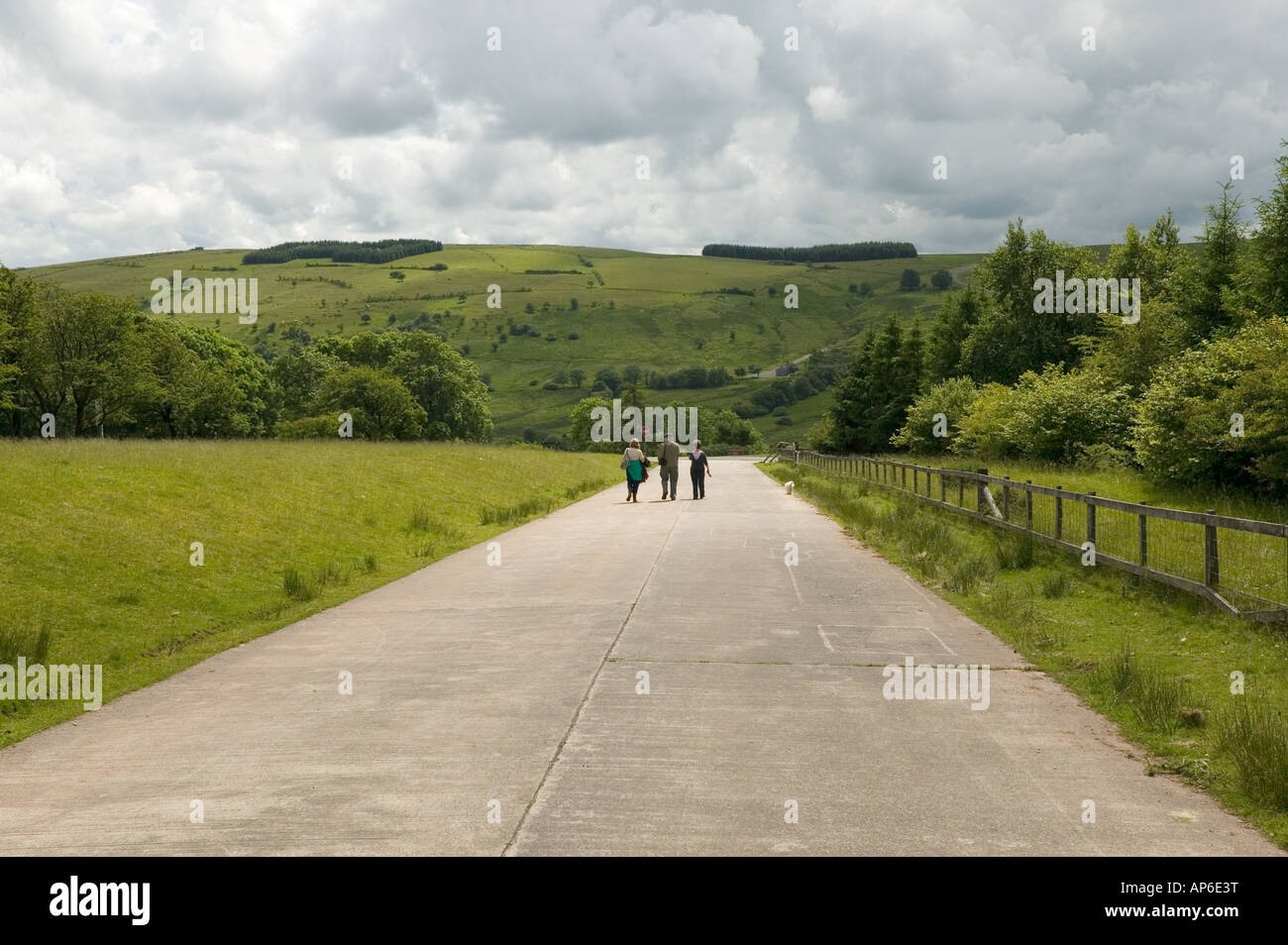 Epynt trees hi-res stock photography and images - Alamy