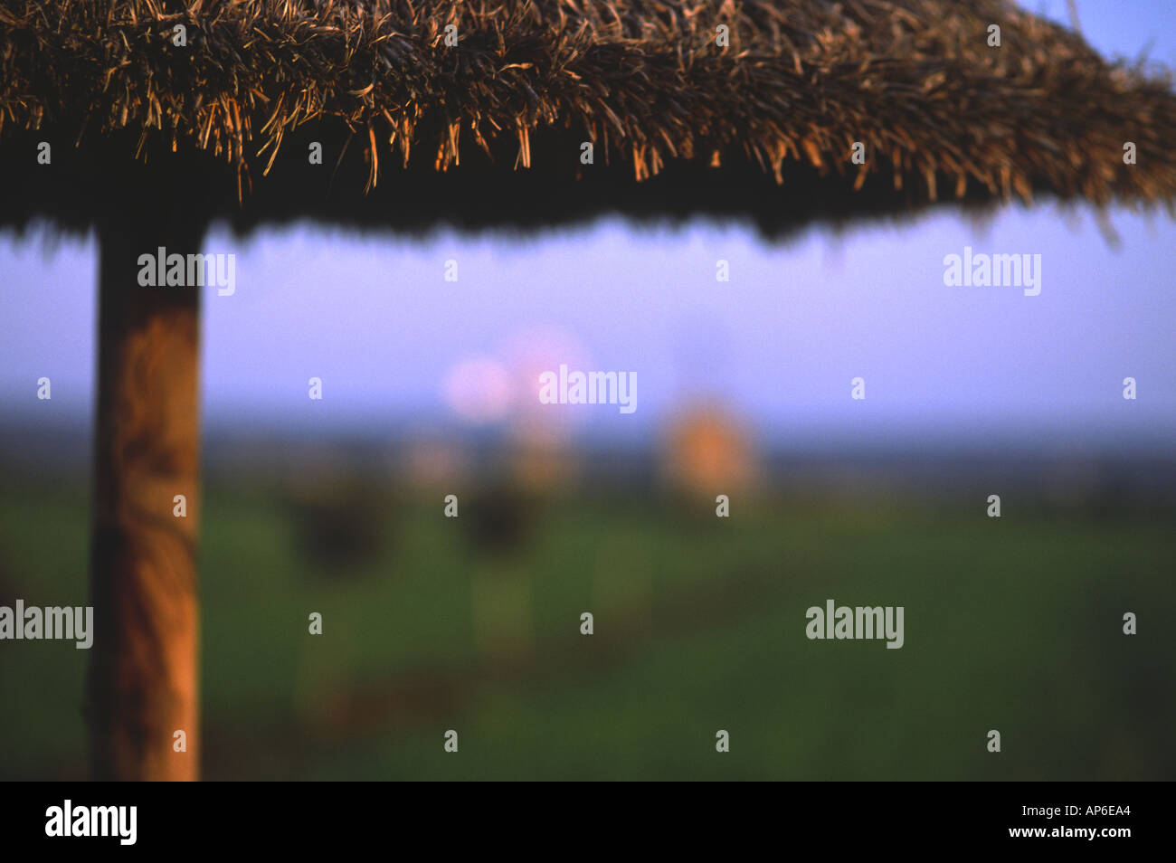 The Mallorcan Spain small rural hotel of S Hort des Gran Palmer Stock ...