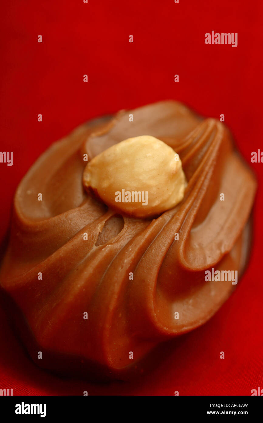 Luxury handmade milk chocolate with hazelnut topping on red background ...