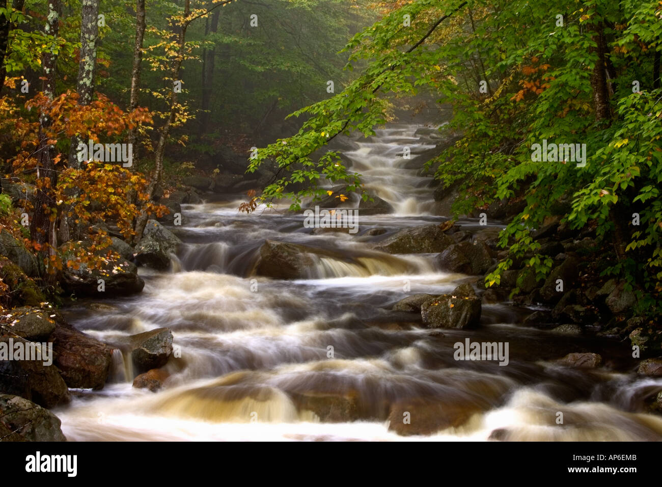 USA, Vermont, East Arlington, Stream Stock Photo - Alamy