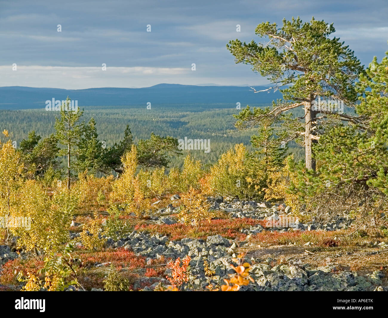 Pallas yllastunturi nationalpark hi-res stock photography and images ...