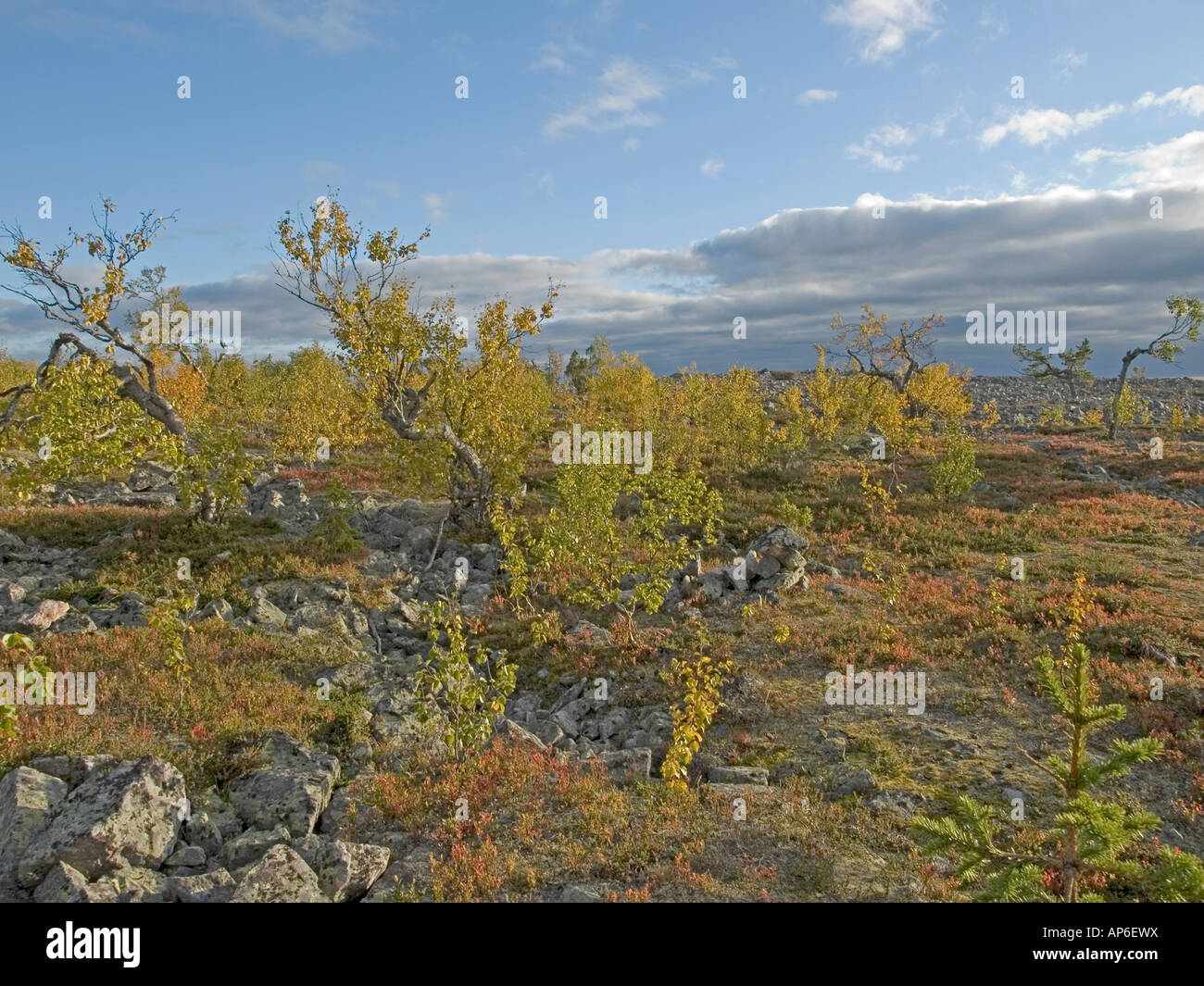 landscape with stony fell mountain in autumn colours in Lapland in ...
