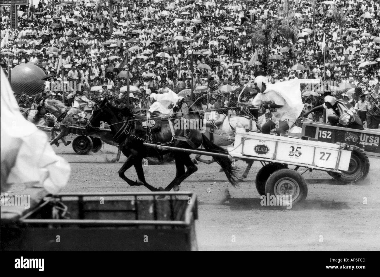 Chariot race in Managua Stock Photo - Alamy