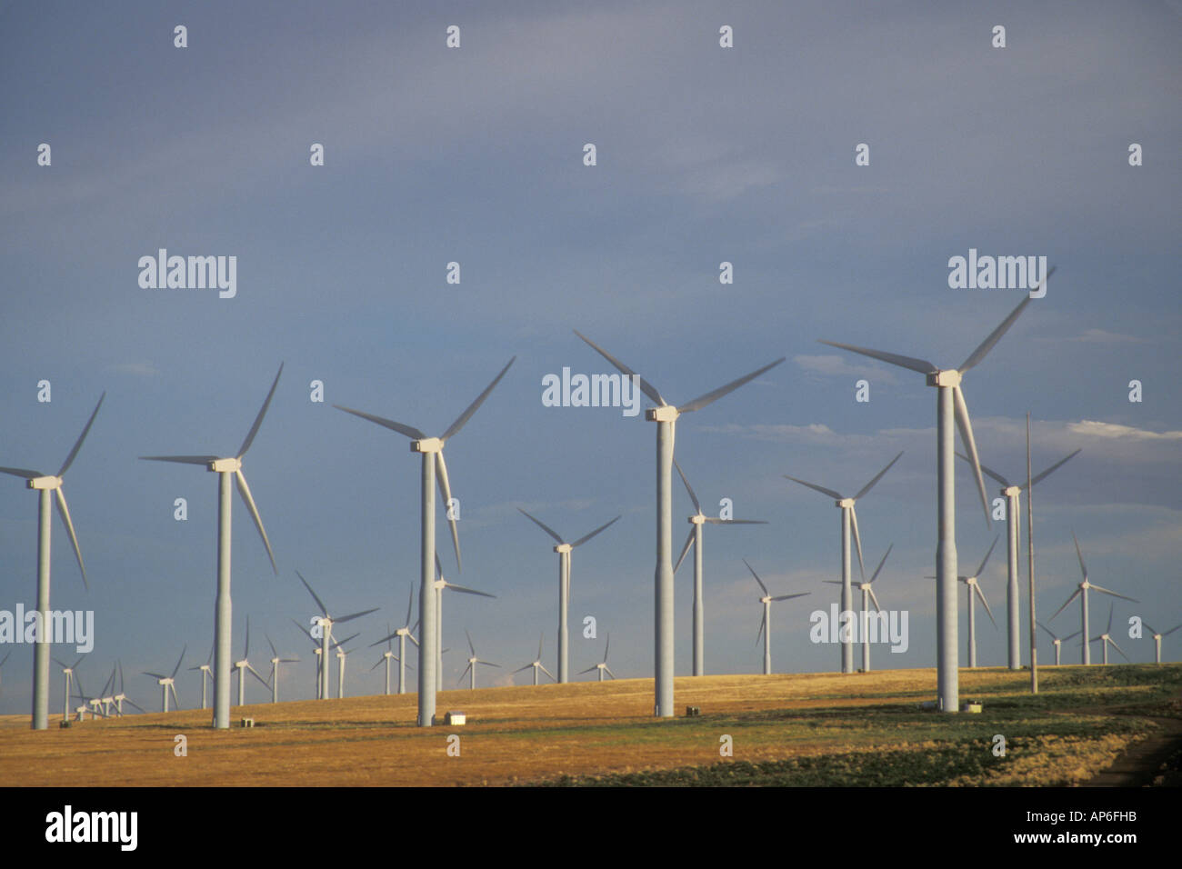 Power generating windmills at teh Stateline Wind Project. Walla Walla ...