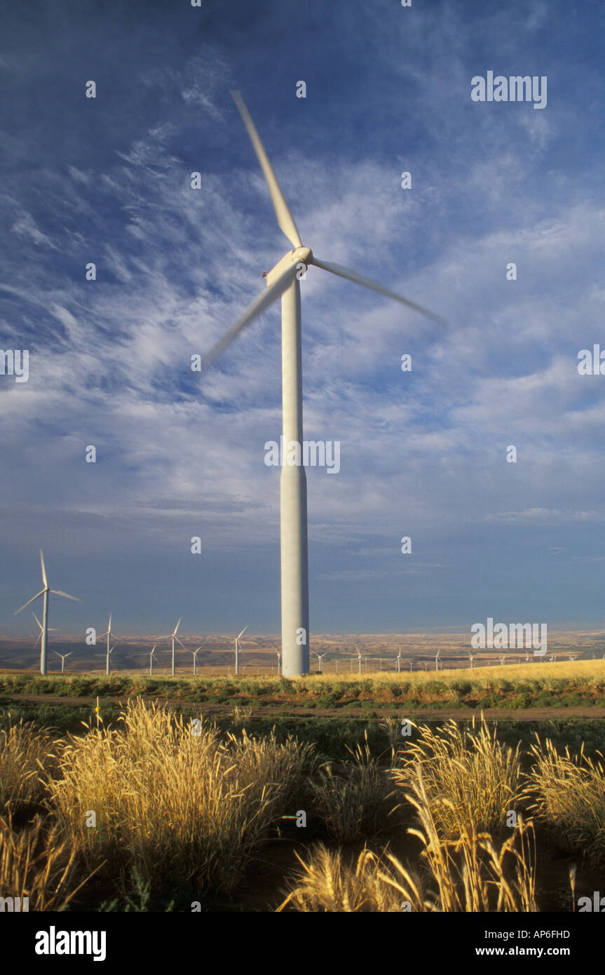 Power generating windmill at the edge of a wheat field. Stateline Wind ...