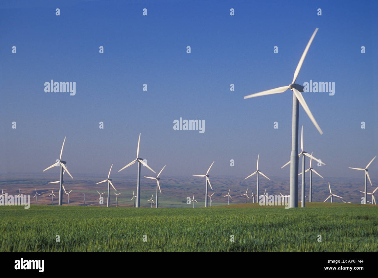 Stateline wind farm hi-res stock photography and images - Alamy