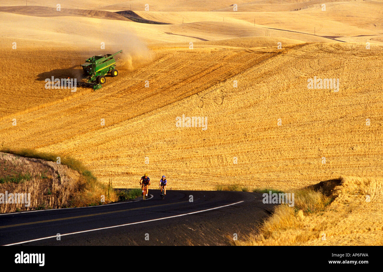 Road Cyclists climb smooth pavement during wheat harvest near Pullman ...