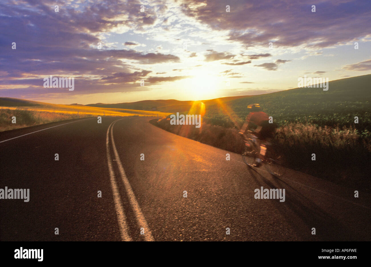 Pullman washington bicycle hi-res stock photography and images - Alamy