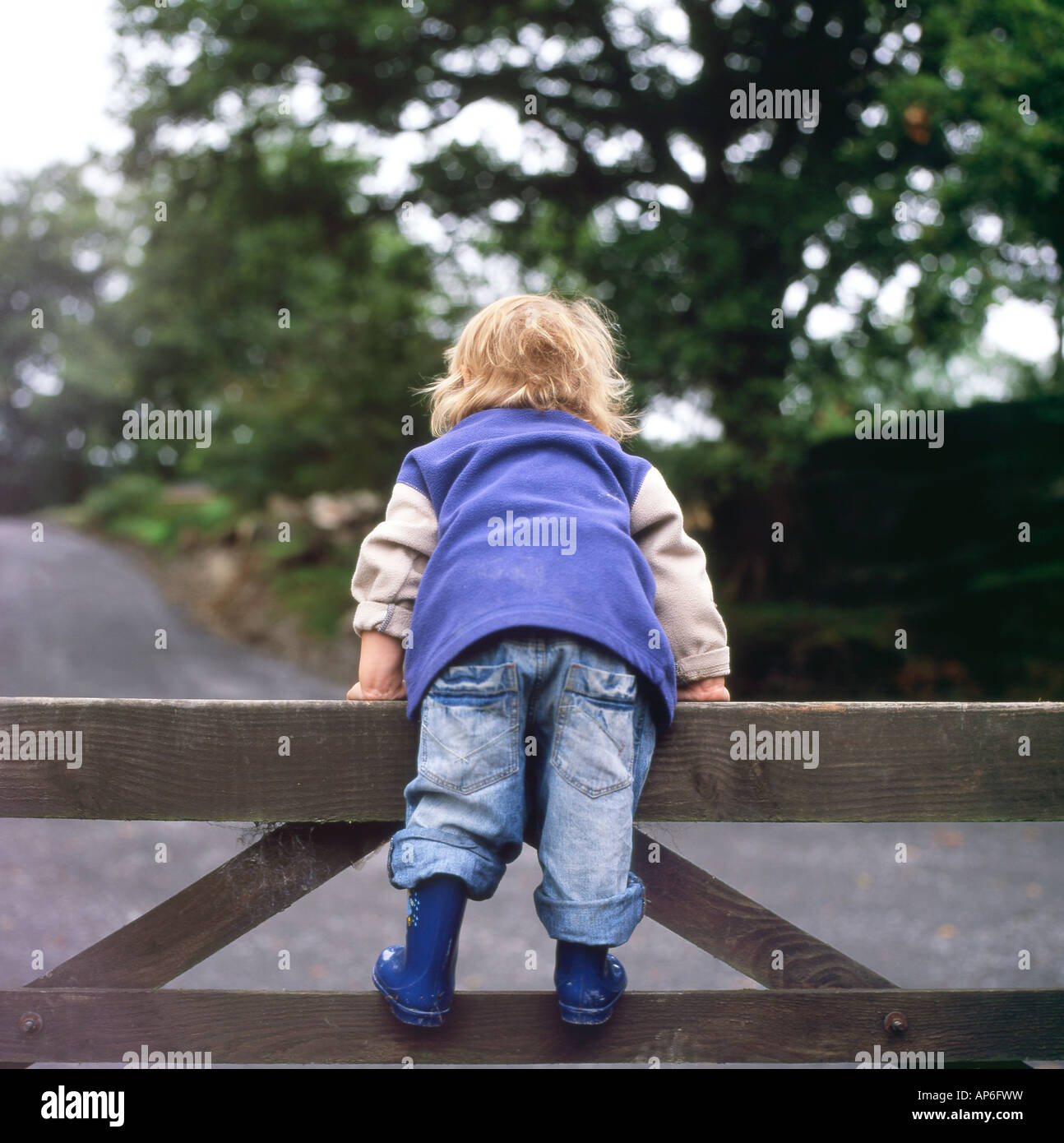 Toddler climbing a gate Stock Photo - Alamy