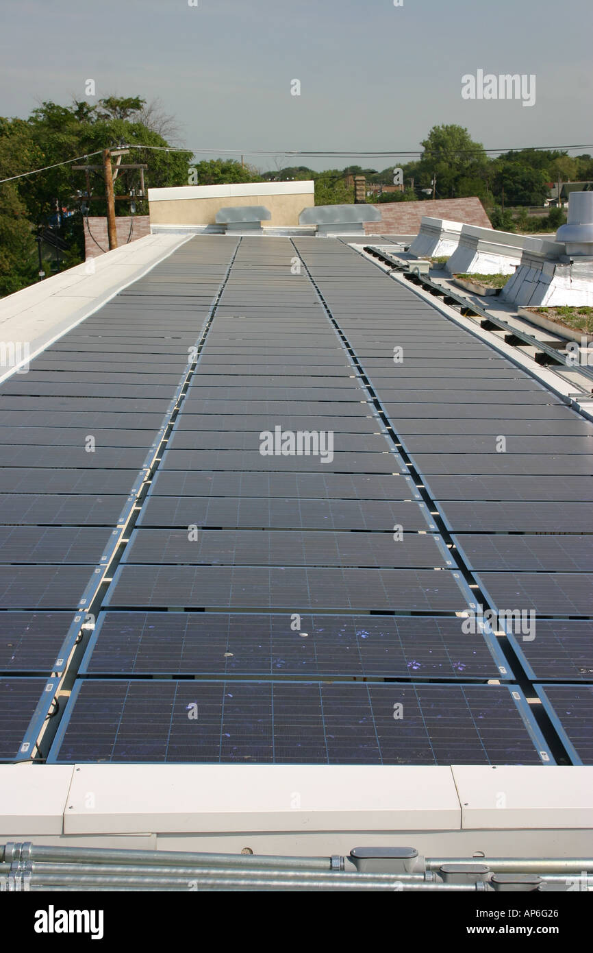 Chicago green roof hi-res stock photography and images - Alamy