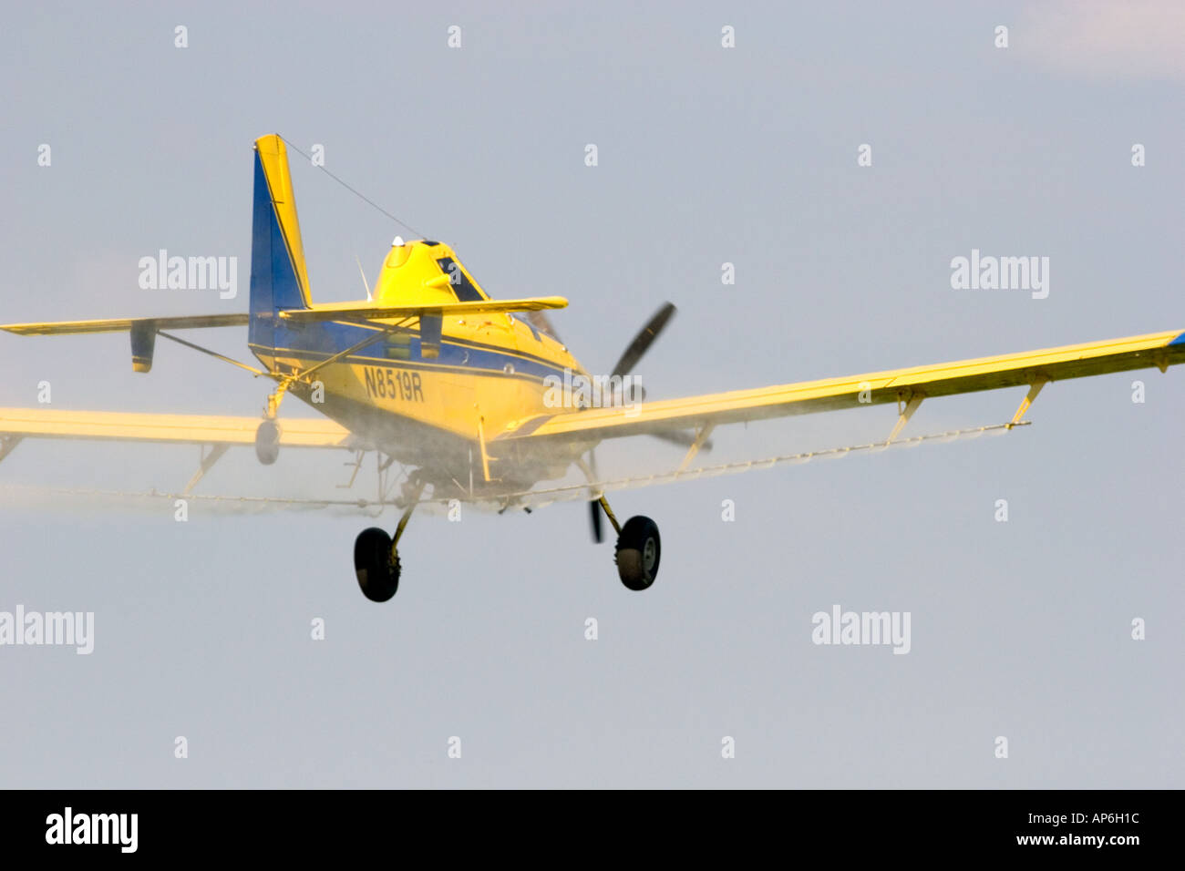 A crop duster spraying a corn field with insecticide west of Danville ...
