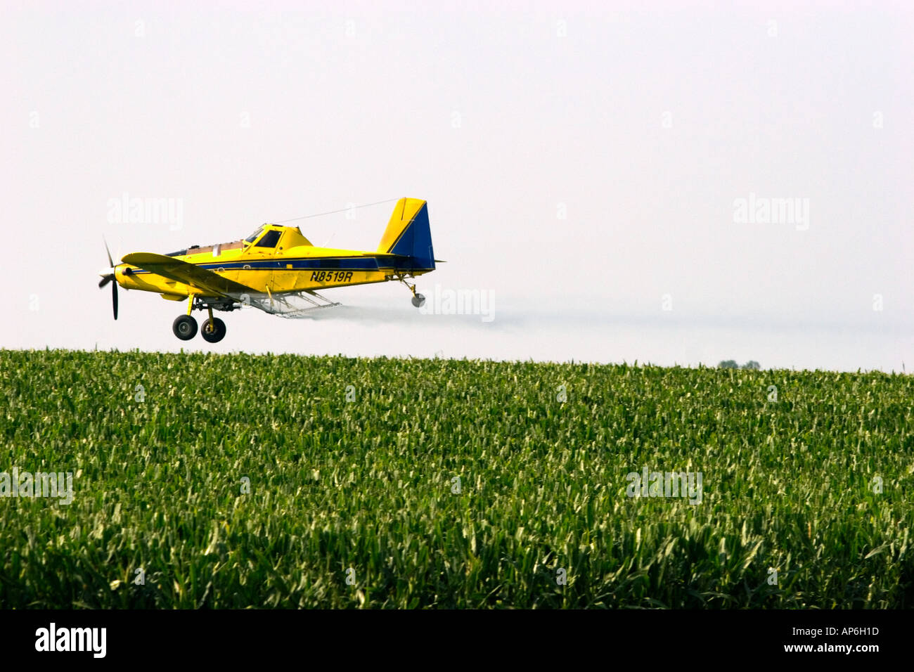 A crop duster spraying a corn field with insecticide west of Danville ...