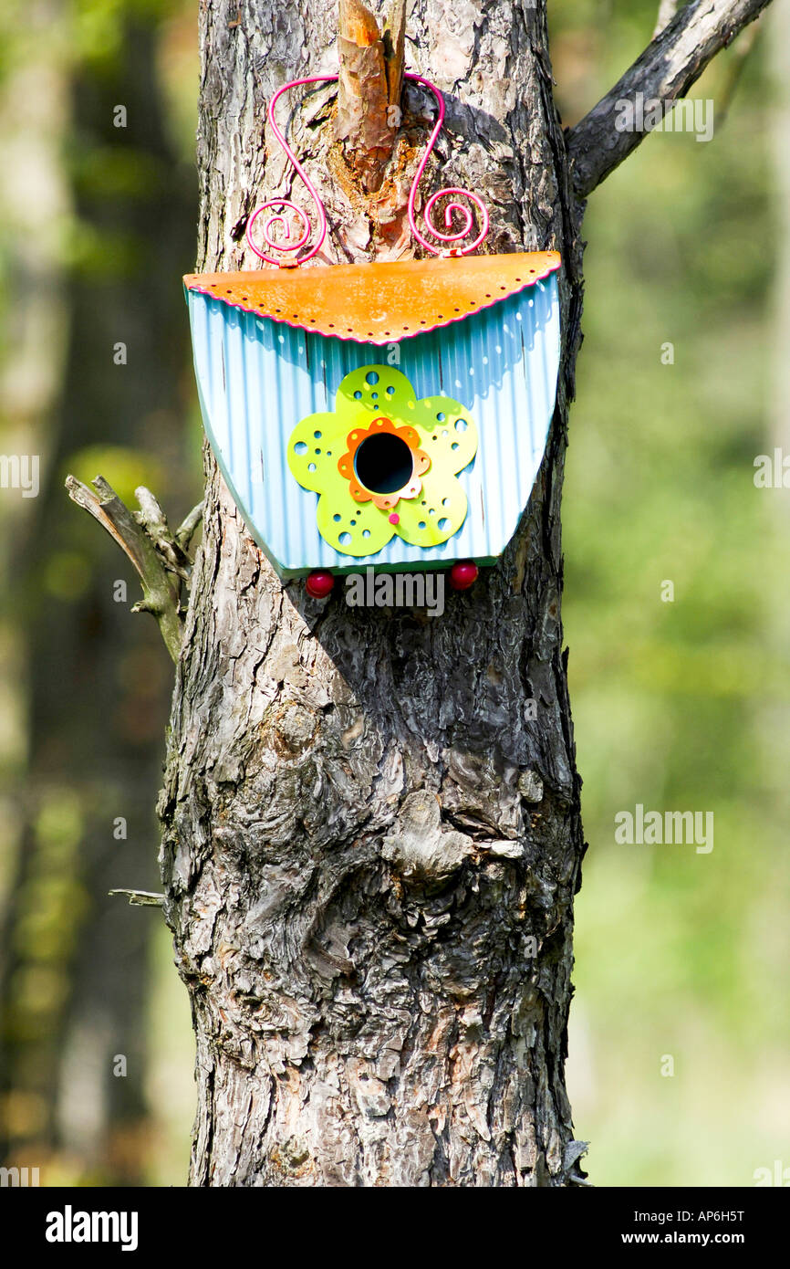 Novelty shaped Ladies handbag birdhouses Stock Photo - Alamy