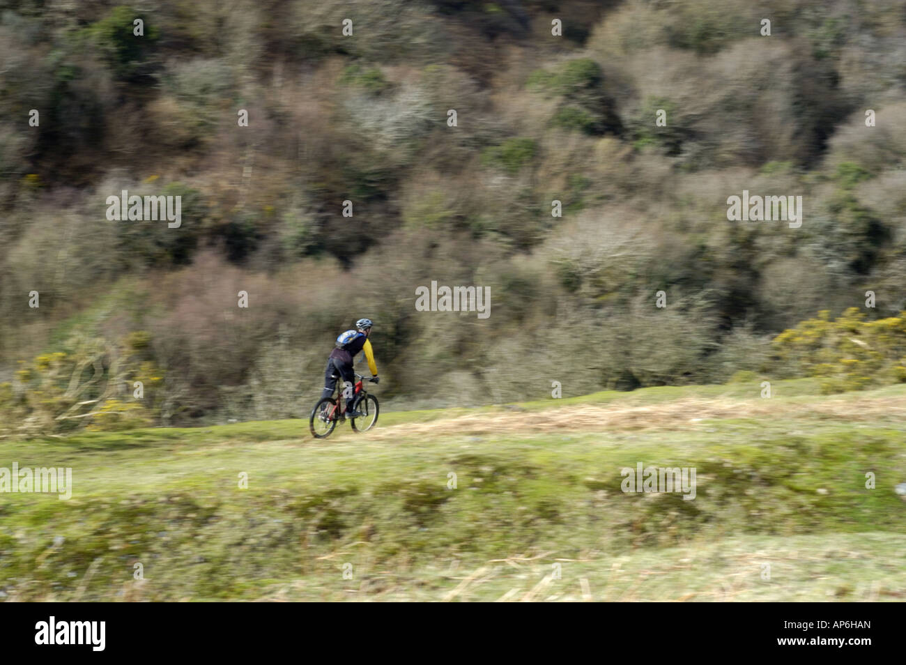 Off road cyclist decending a hill near Meldon reservoir in Dartmoor ...