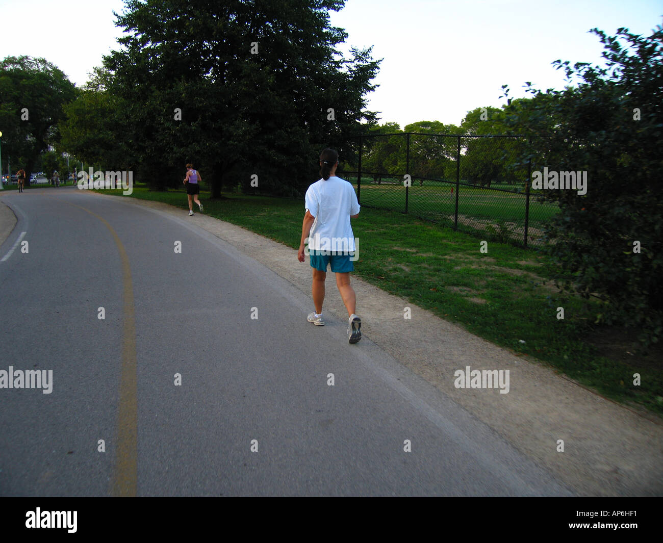 Chicago lakefront bicycle path on a summer evening Stock Photo - Alamy