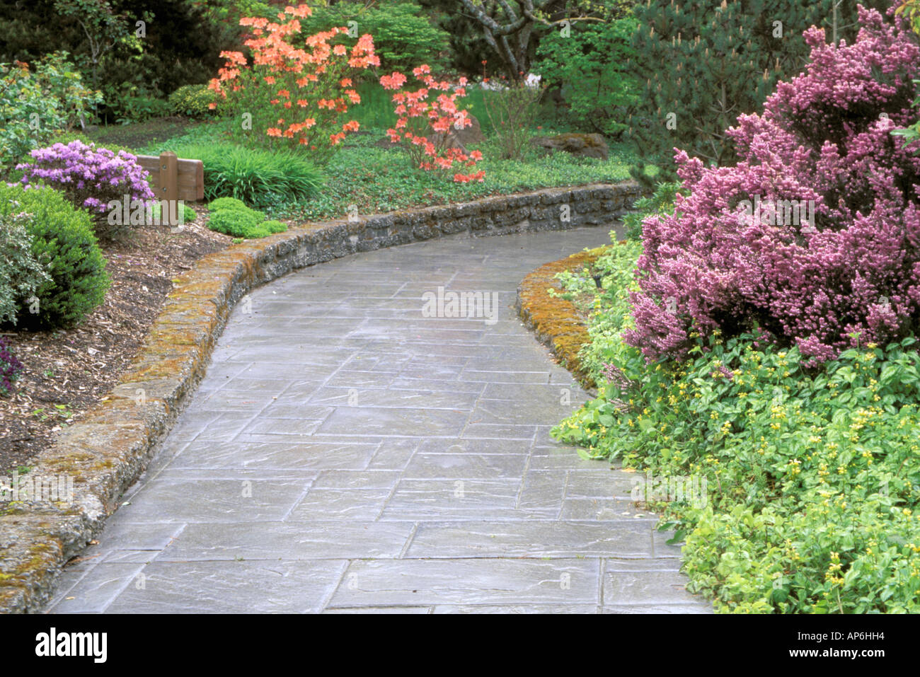 North America, USA, Washington State, Seattle. Arboretum pathway at ...