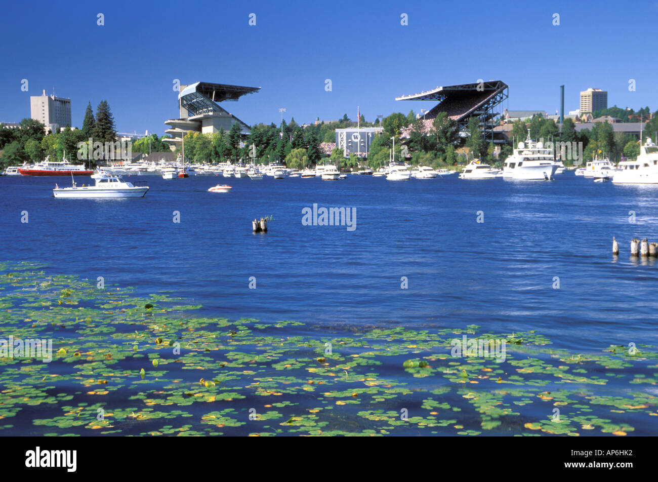 Harbor husky hi-res stock photography and images - Alamy