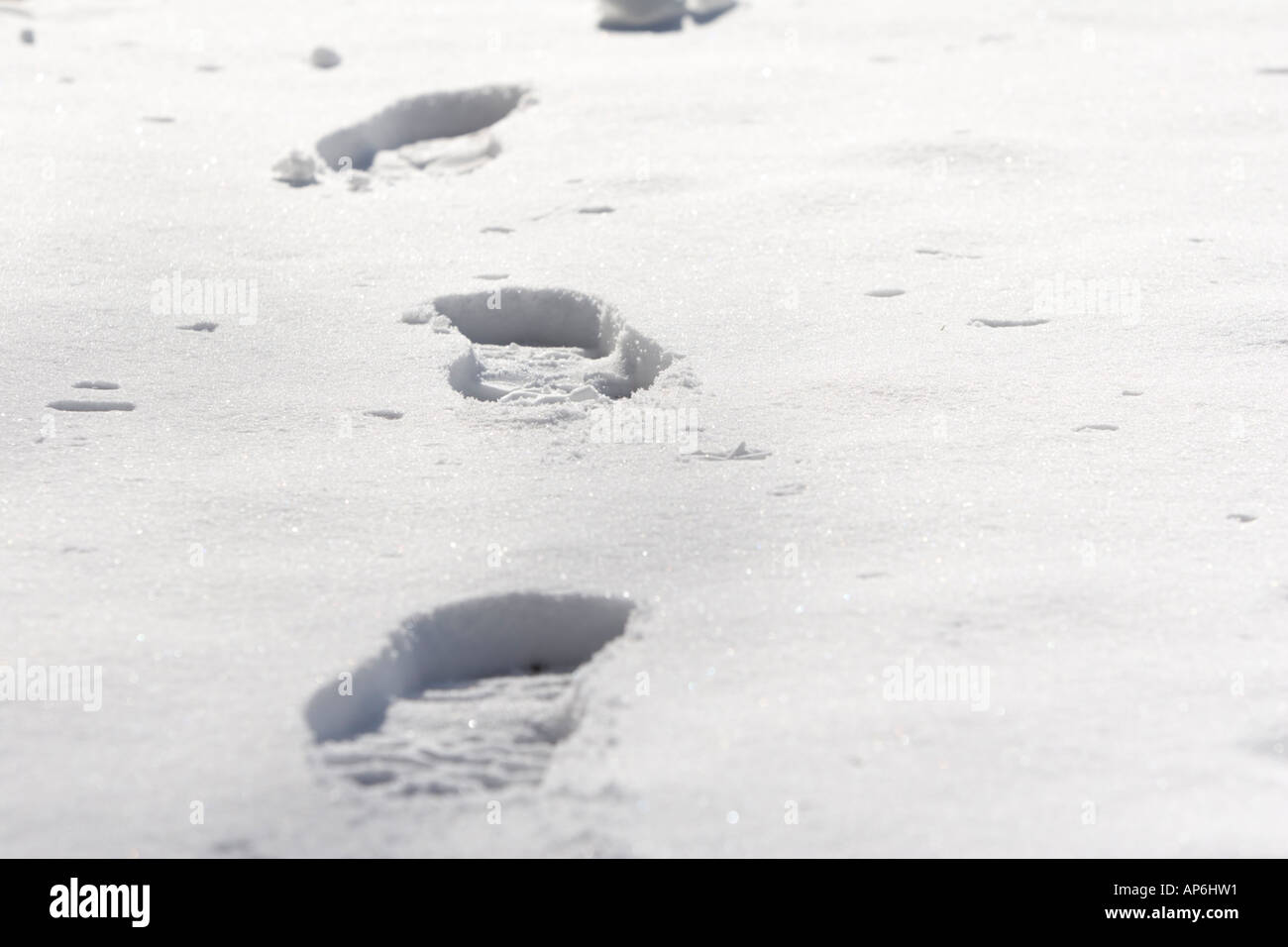 footprints of walking boot in snow Stock Photo - Alamy