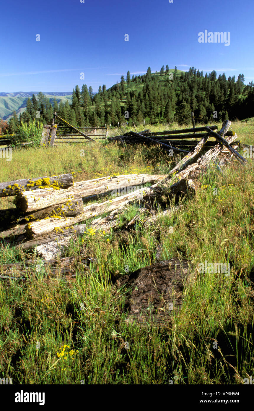 North America, USA, Washington State, Fields Spring State Park. The ...