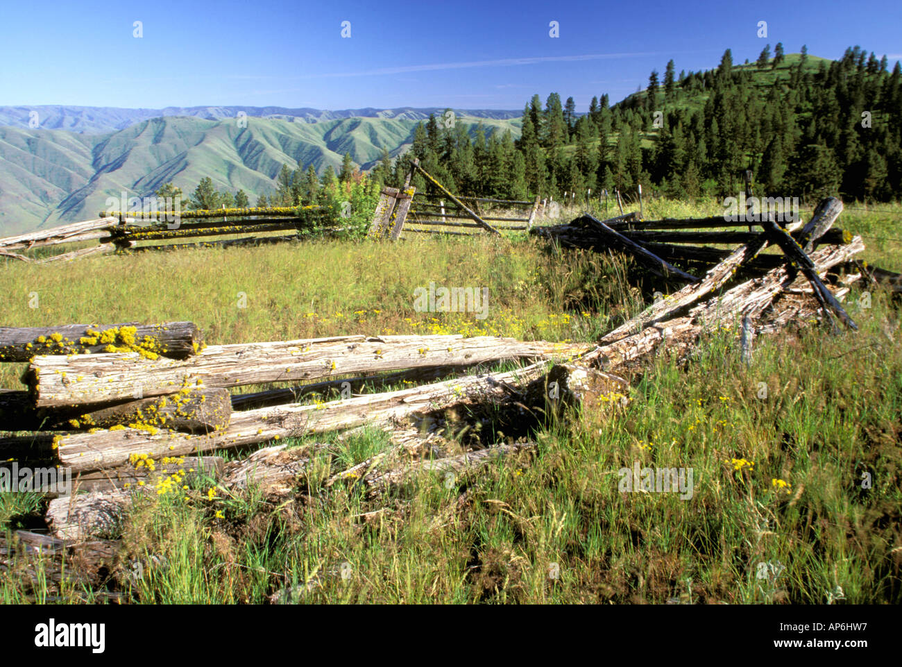 North America, USA, Washington State, Fields Spring State Park. The ...