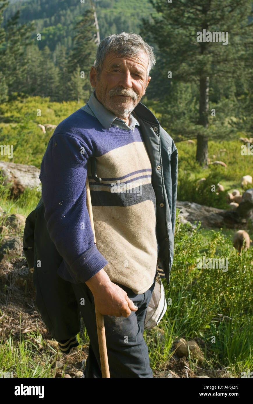 Portrait of shepherd Stock Photo - Alamy