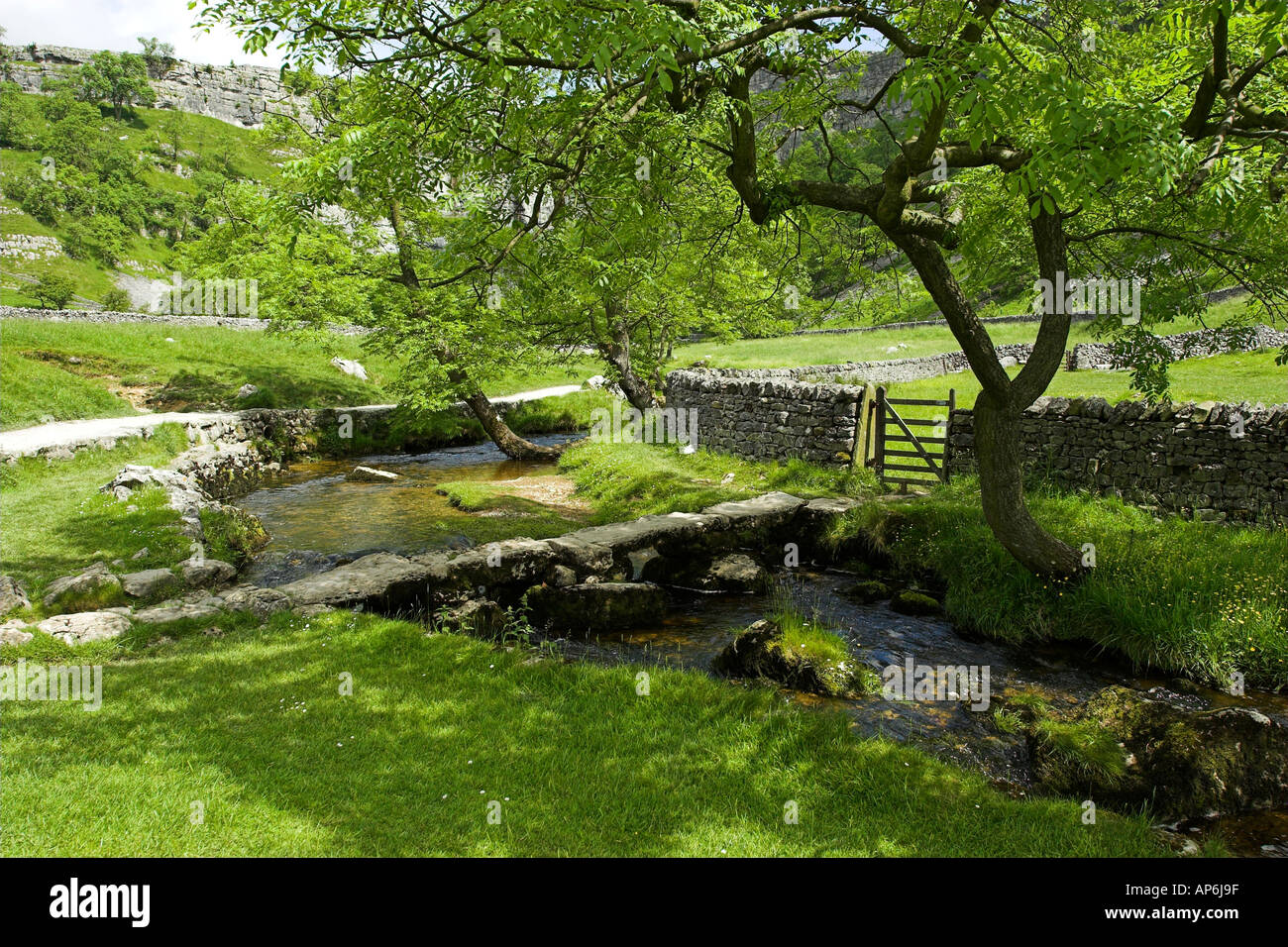 Stone clapper bridge over running stream at Malham Cove in the North ...