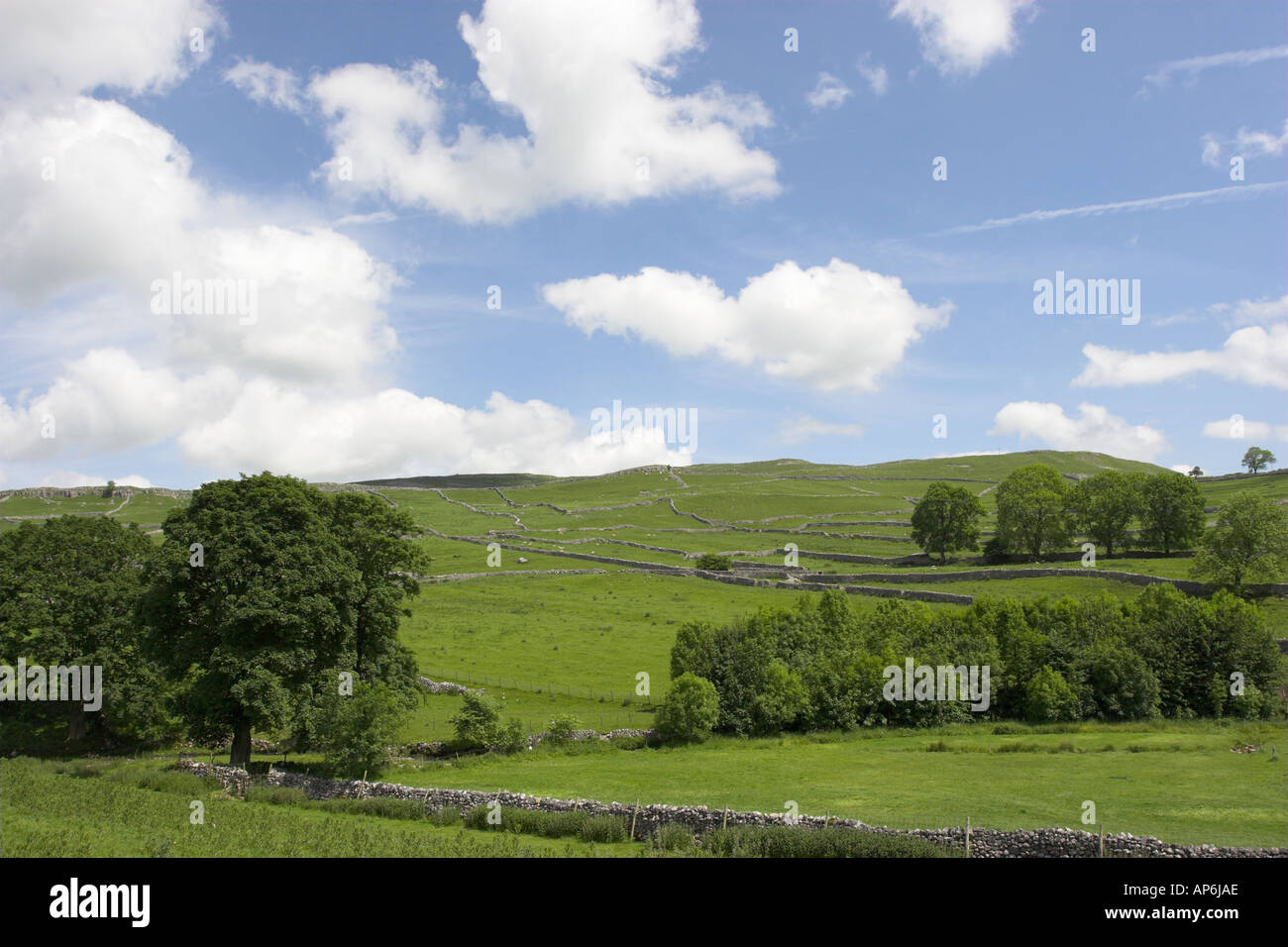Stone walls and green landscape typical of the North Yorkshire Dales ...