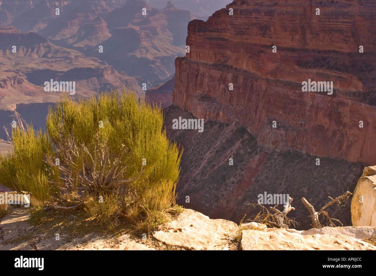Grand Canyon, Pima Point Stock Photo - Alamy