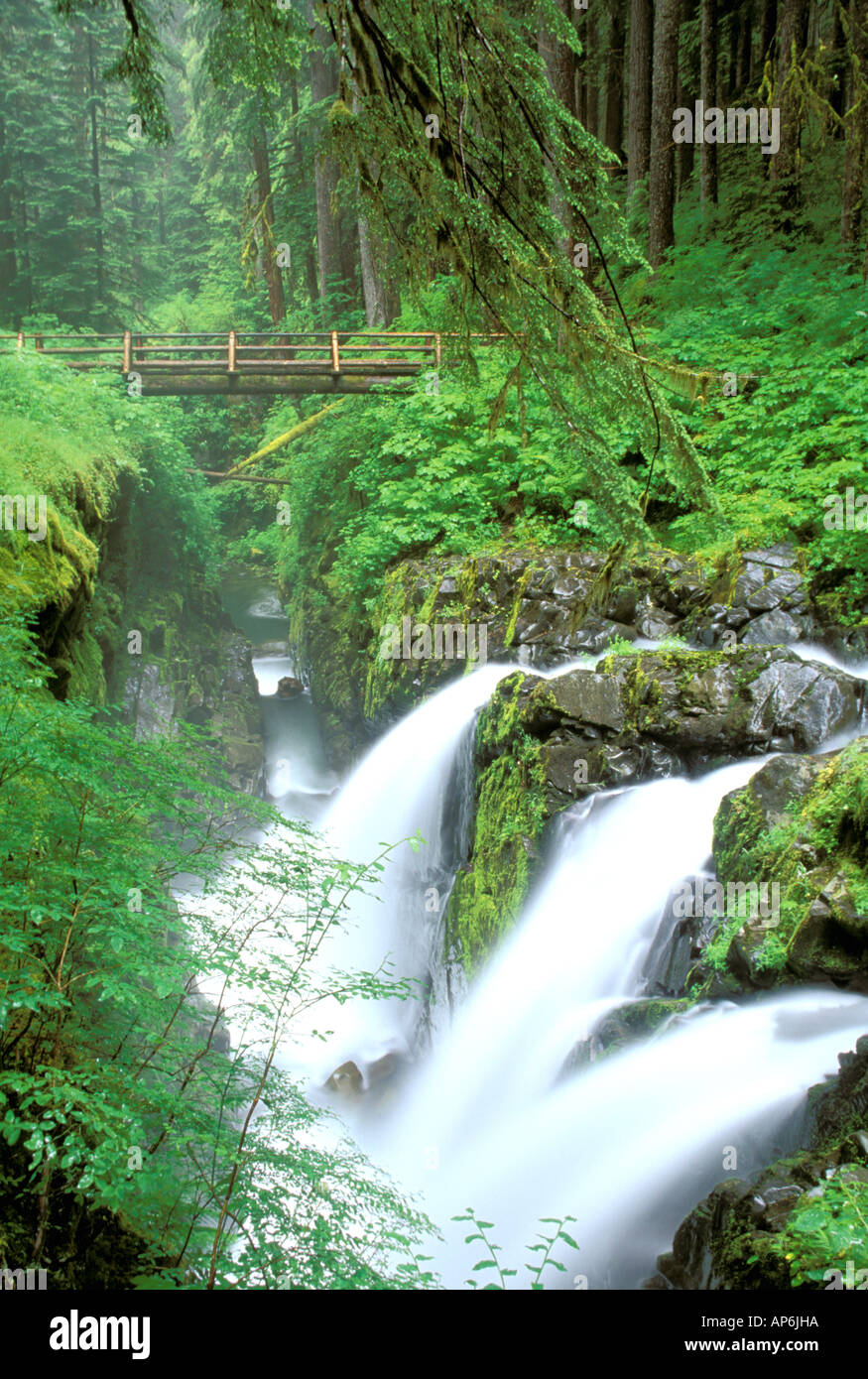 Sol duc river valley hi-res stock photography and images - Alamy
