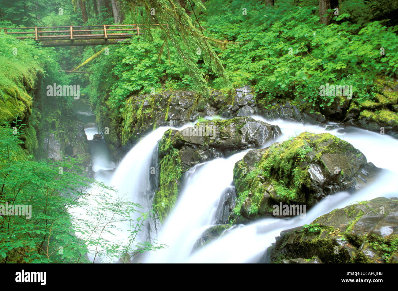 North America, USA, Washington State, Olympic National Park. Sol Duc ...