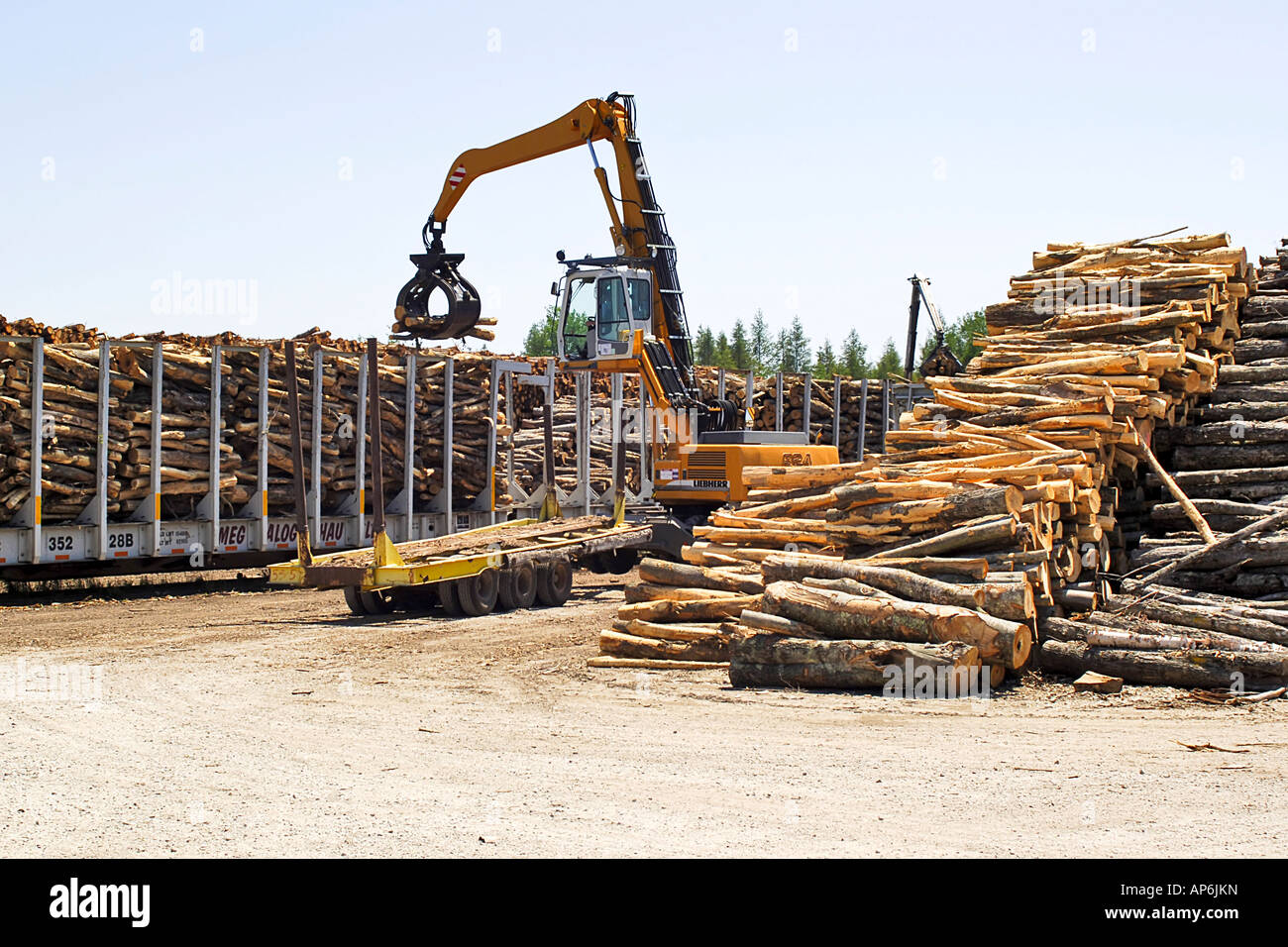 Moving logs into rail carriages at a logging distribution center in ...