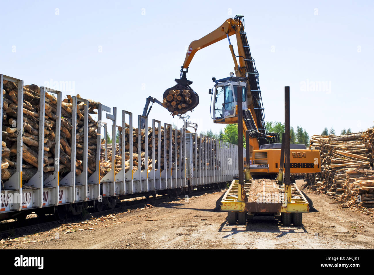 Moving logs into rail carriages at a logging distribution center in ...