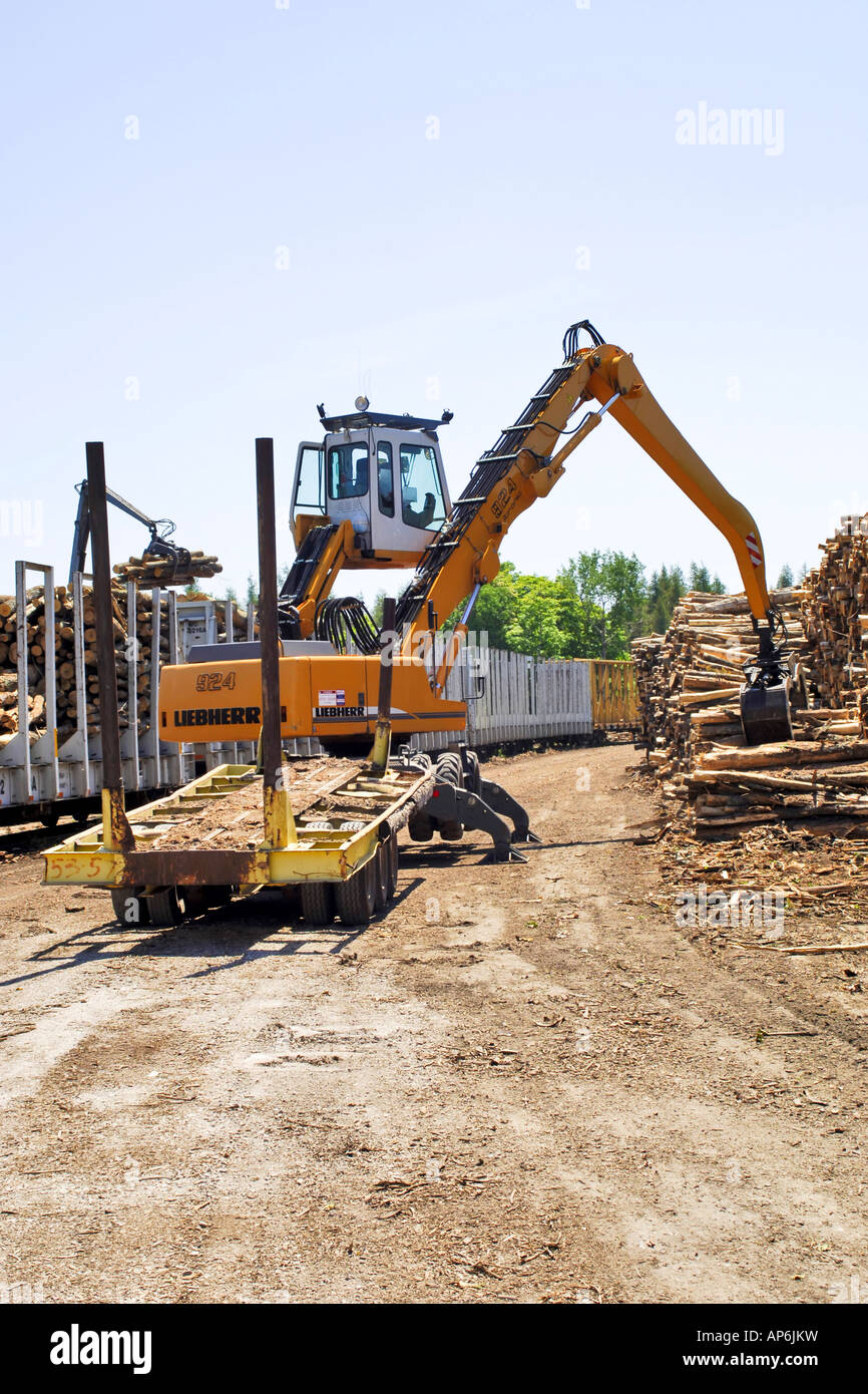 Moving logs into rail carriages at a logging distribution center in ...