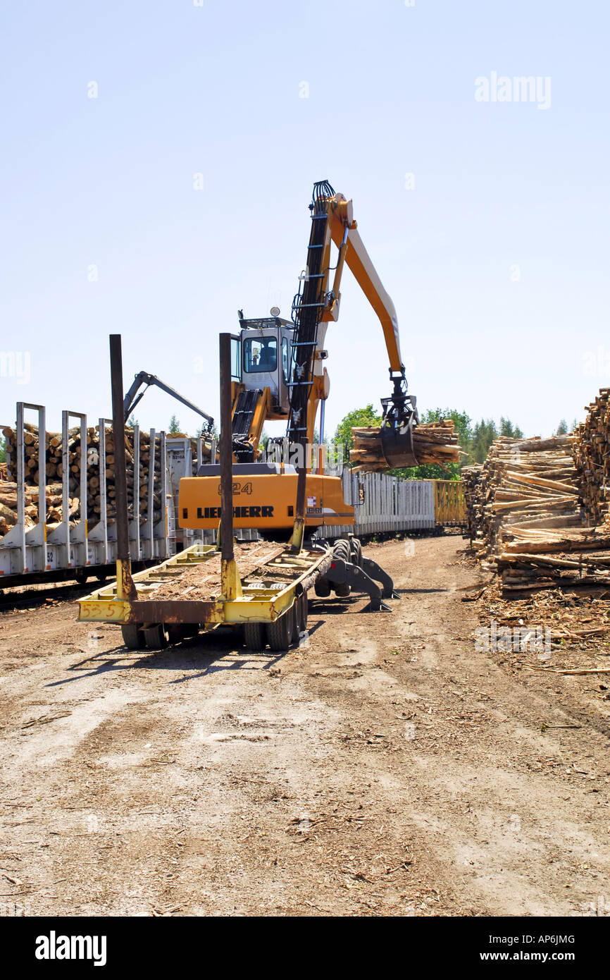 Moving logs into rail carriages at a logging distribution center in ...