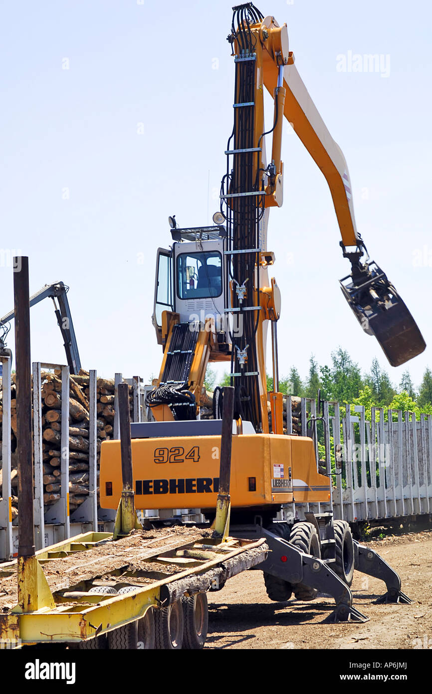 Moving logs into rail carriages at a logging distribution center in ...