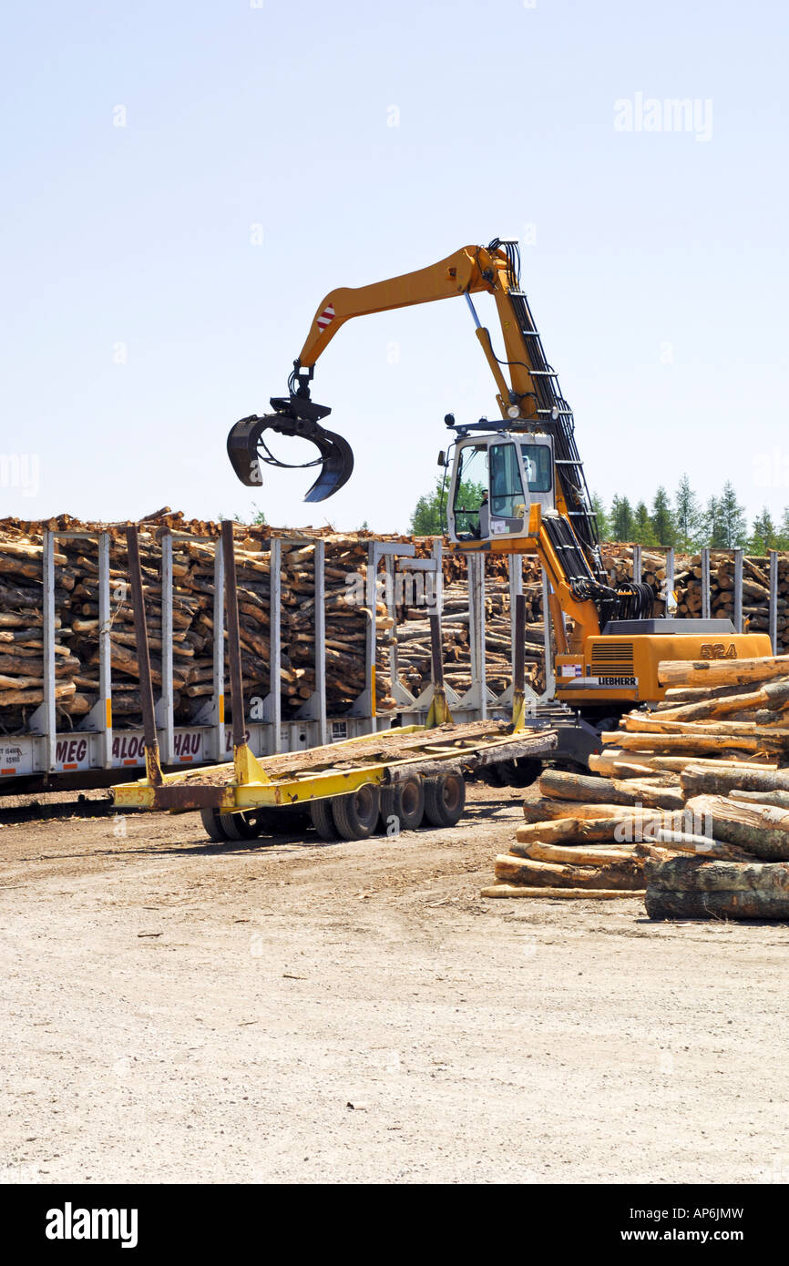 Moving logs into rail carriages at a logging distribution center in ...