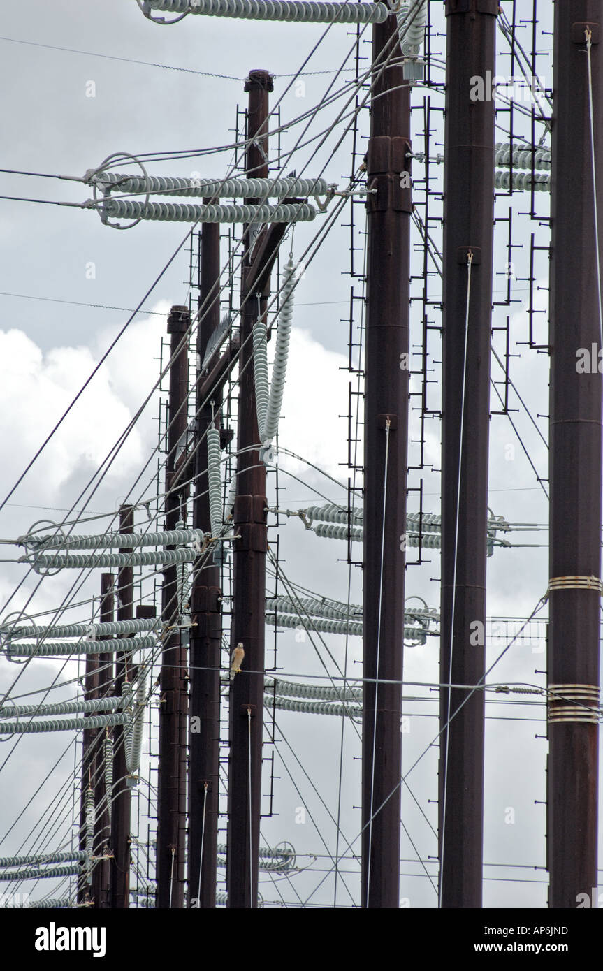 powerline support structure energy electrical lines electricity Stock ...
