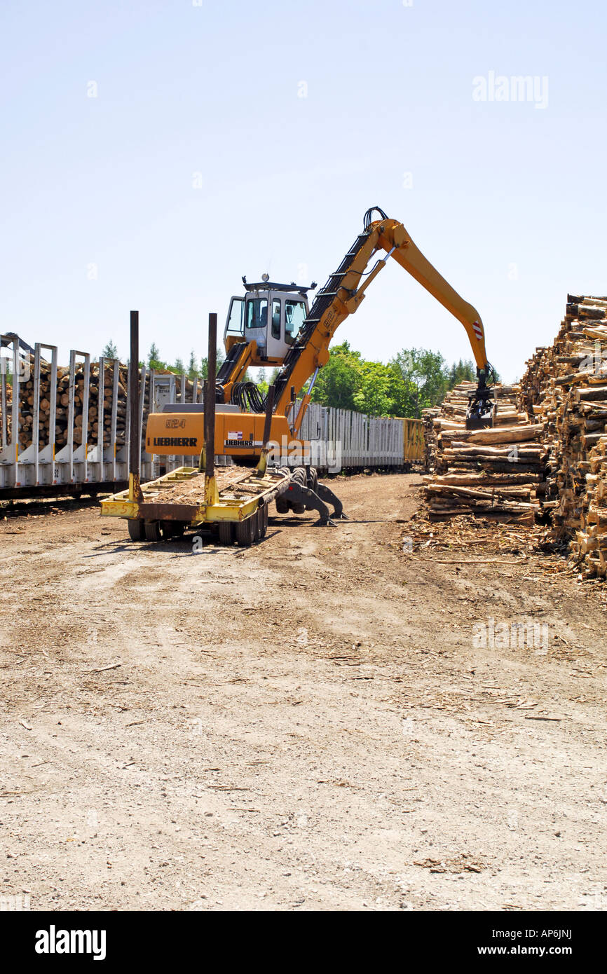 Moving logs into rail carriages at a logging distribution center in ...