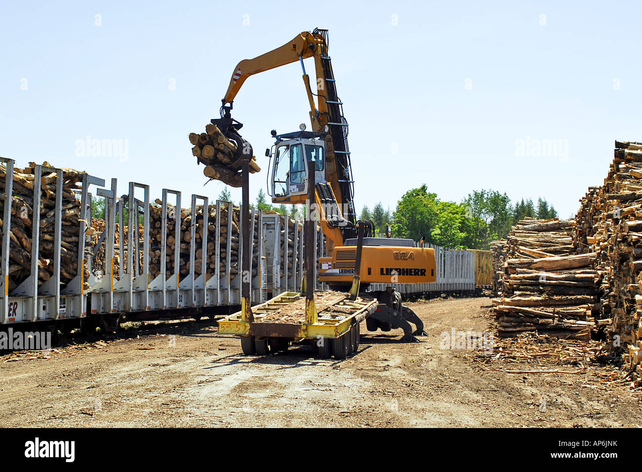 Moving logs into rail carriages at a logging distribution center in ...
