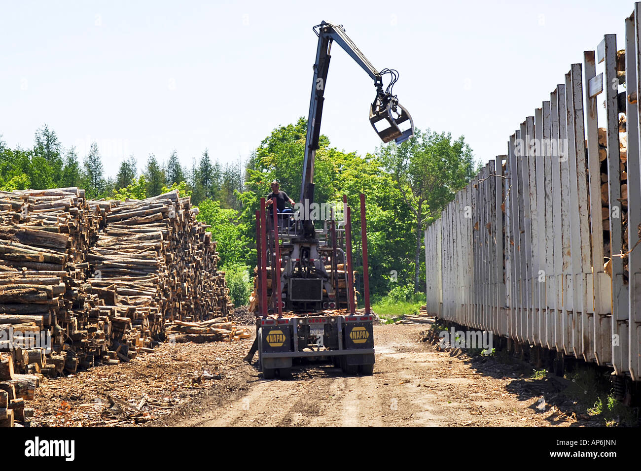 Moving logs into rail carriages at a logging distribution center in ...