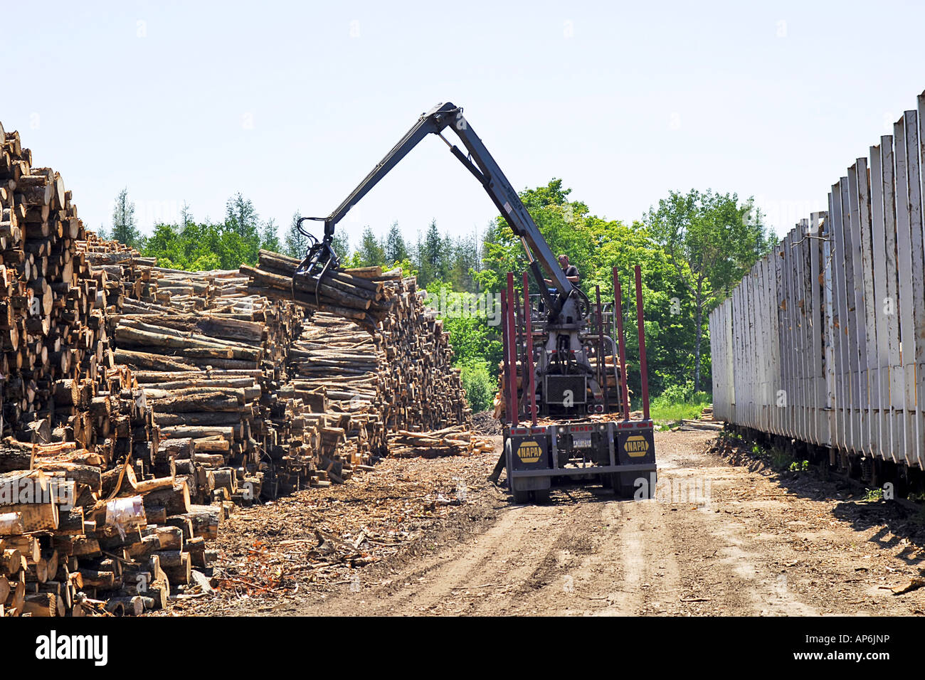 Moving logs into rail carriages at a logging distribution center in ...