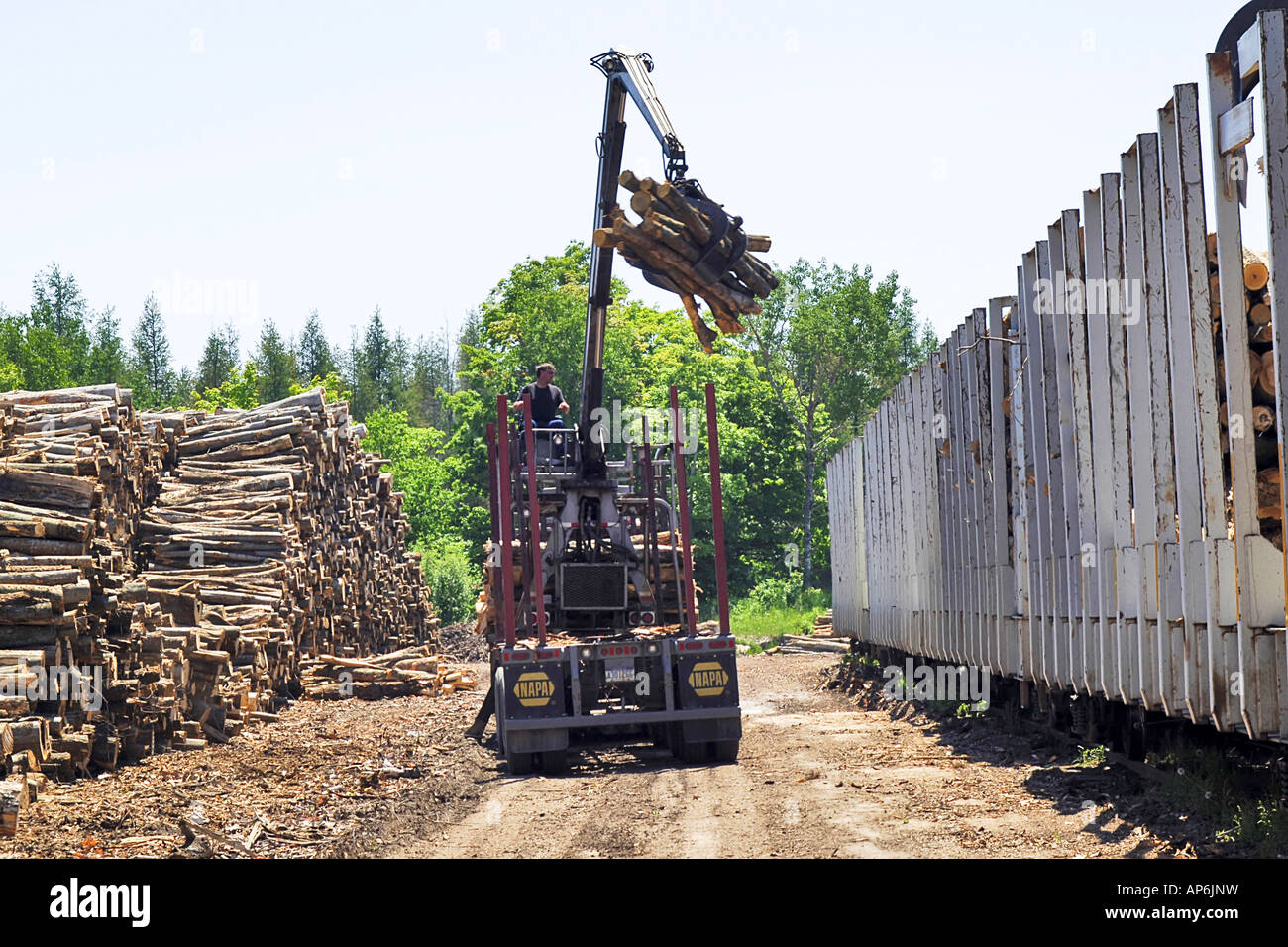 Moving logs into rail carriages at a logging distribution center in ...